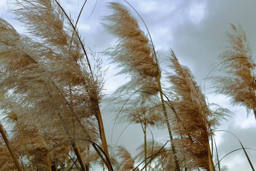 How to Read Wind for .300 Win Mag Shots Past 1,000 Yards – 300 ...